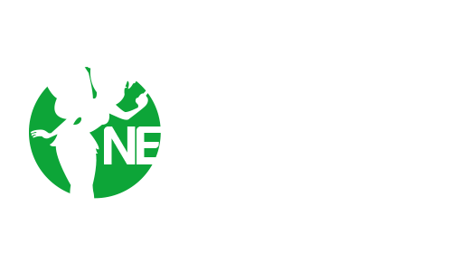 Neverland Eventos - Animaciones y Fiestas Infantiles